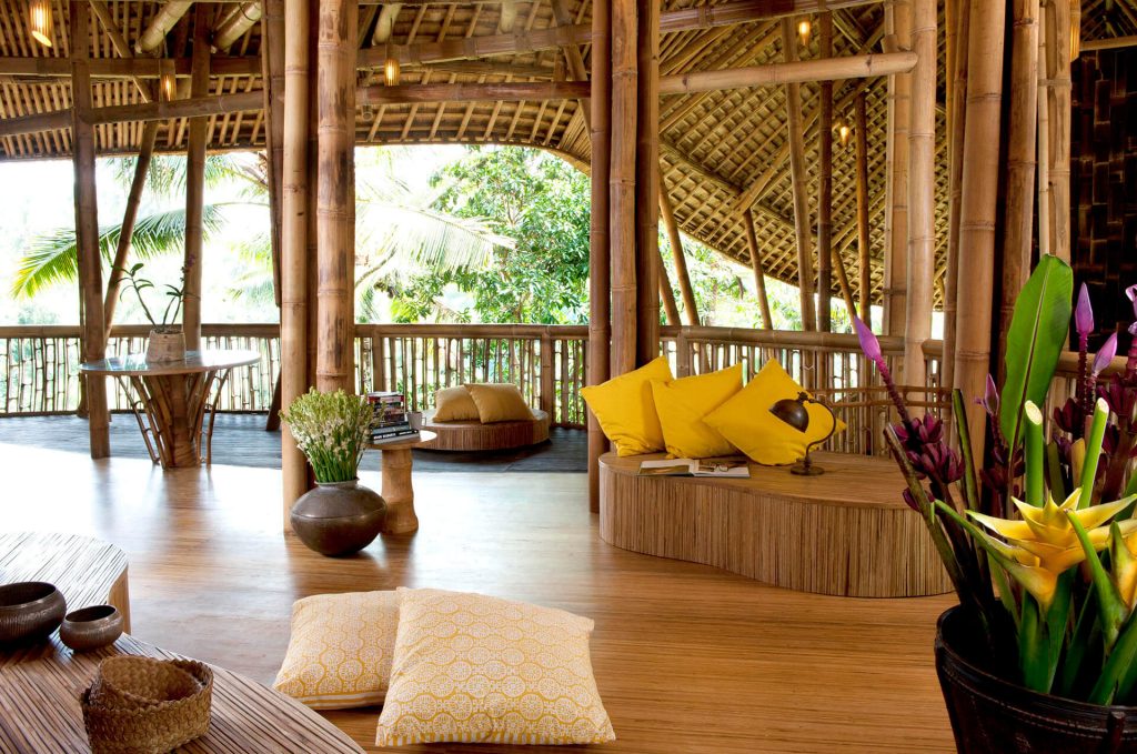 Palm House - Bamboo Pure