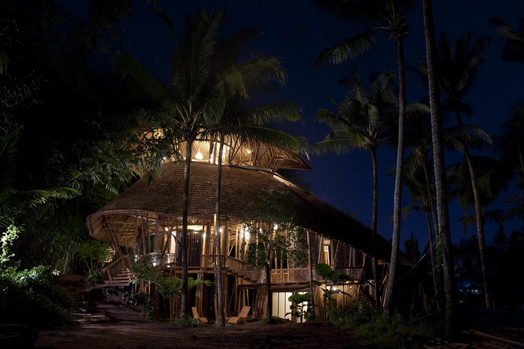 Palm House - Bamboo Pure