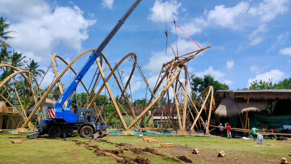 Our Greatest Enviromental Engineering : The Arc | Bamboo Pure
